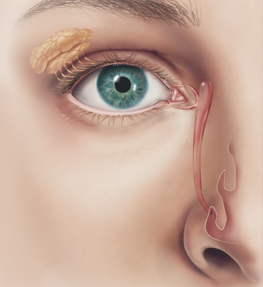 Nasolacrimal Surgery Department - EYE DAY CLINIC